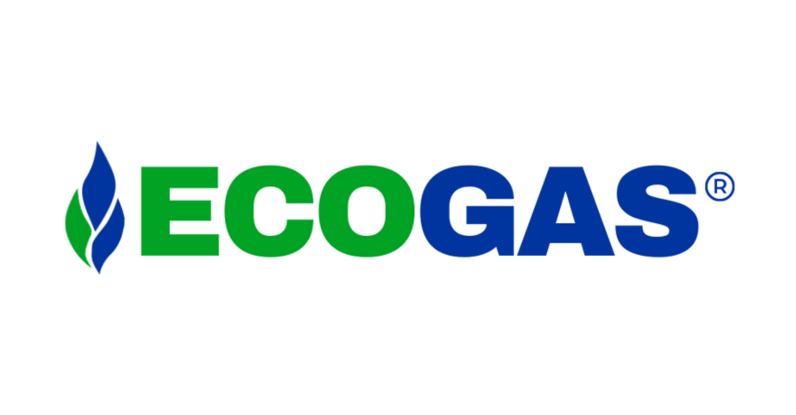 Taller – Ecogas Chile